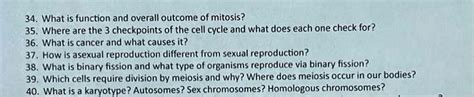 Solved What Is The Function And Overall Outcome Of Mitosis Where Are The 3 Checkpoints Of The