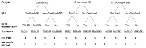 Experimental Design Scheme Of Experiment 3 The 12 Combinations Of 6