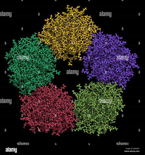 C Reactive Protein Crp Human Inflammation Biomarker Protein Infections And Inflammation