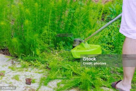 지방 자치 단체 직원이 잡초 정원 유지 관리의 일환으로 손 트리머로 잔디밭의 푸른 잔디를 깎습니다 45 49세에 대한 스톡 사진 및 기타 이미지 Istock