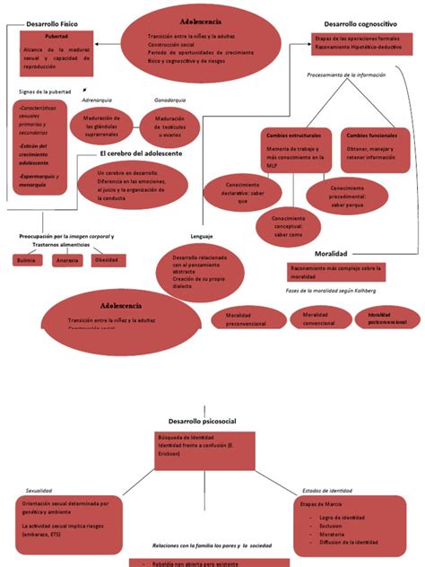 Mapa Conceptual De La Adolescencia Descargar Gratis Pdf