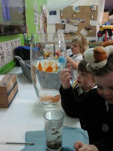 Floating And Sinking With The Acorns Oak View Academy