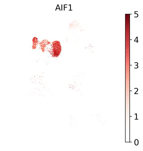Plotting The Expressions Of Several Markers On A Single Umap Plot · Issue 532 · Scverse Scanpy