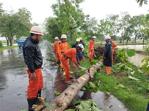 ရန်ကုန် ပြည်ကားလမ်းတွင် မိုးရွာသွန်းမှုကြောင့် သစ်ပင်လဲကျနေမှုအား ရှင်းလင်း ဆောင်ရွက