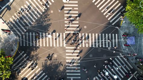 19200 Numerical Classification System Stock Videos And Royalty Free