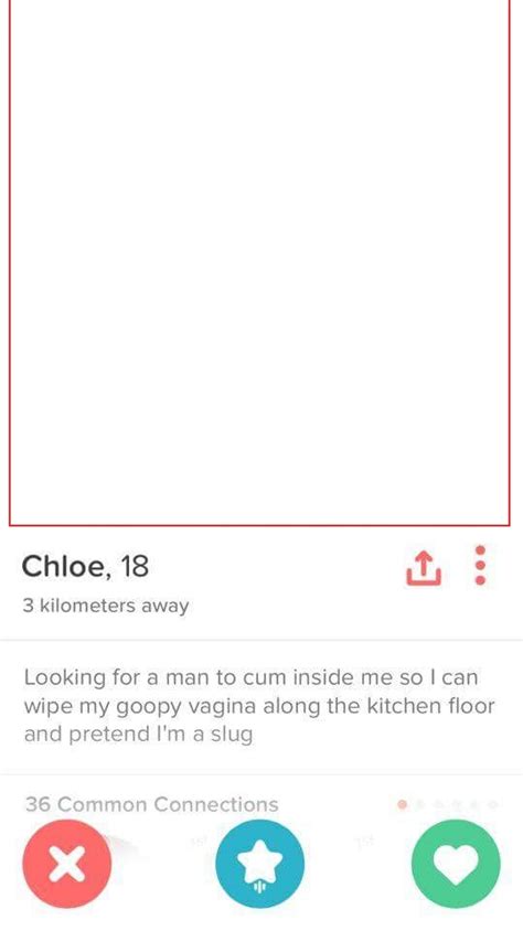 Editable Tinder Profile Template Blank