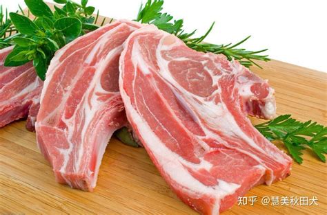 切记！狗狗不能吃的十八种食物！ 知乎