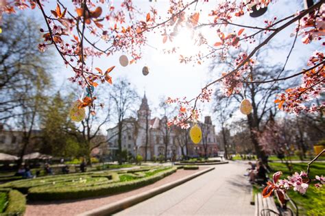 Суспільне Івано Франківськ «В області 25 педагогів з 27 пройшли успішно сертифікацію Це