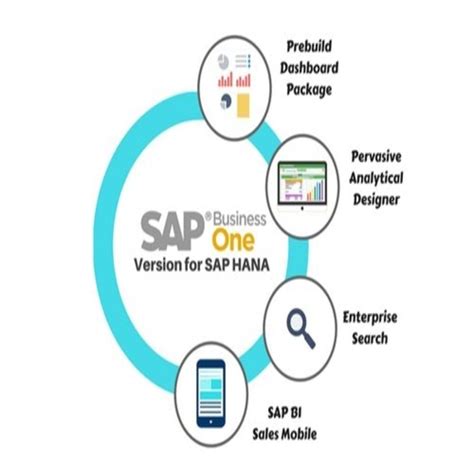 SAP Software In Delhi Ncr Rs Unit Indo Asia Global Technologies Private Limited ID