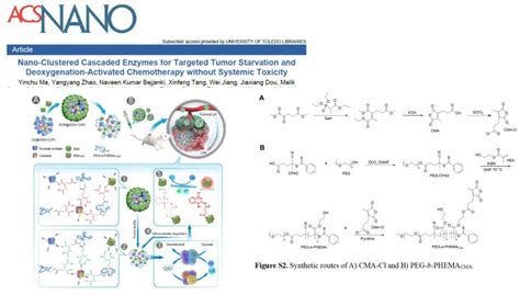 Dr Naveen Kumar Bejjanki På Linkedin Vigine Bio Offers A Synthesis Of Nano Materials