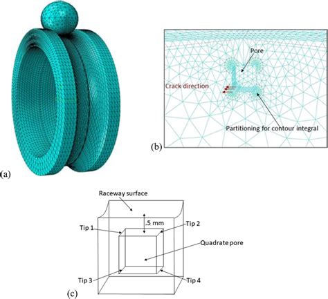 A Finite Element Model Of The Ballring Contact B Meshing Of The