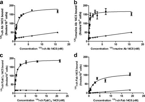 Saturation Binding Assay Of Iodinated Derivatives Of The Mab 14c5 To Download Scientific