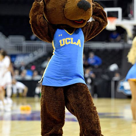 Ucla Basketball Mascot
