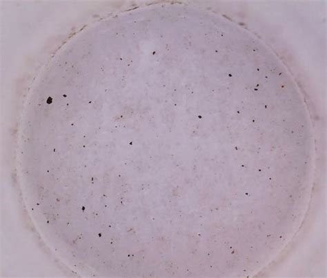 1000 particles of black carbon particles per litre of water collected