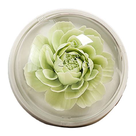 Xieulqp Passive Essential Oil Diffuser Flower Style Non Electric