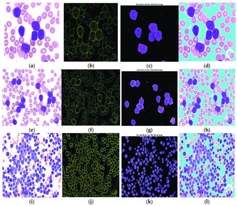 Output Of Lab Projected K Means Clustering K 3 Algorithm