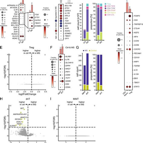 Characterizing Rare Cell Populations In The Integrated Csf Cell Dataset