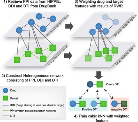 Workflow Of The Proposed Method 1 We Utilized Ppi Data From The