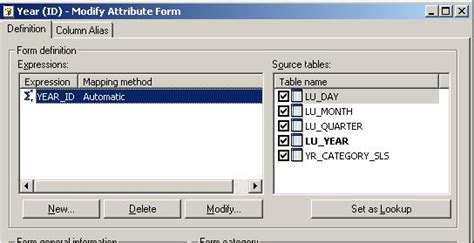 Kb12000 After Creating A Column In A Logical Table Automatic Mapping Does Not Occur For