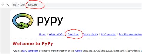 安装pypy与get Pippypy下载 Csdn博客