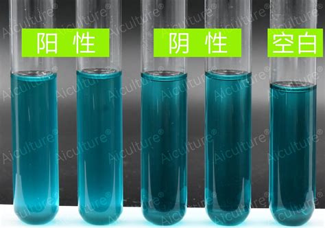 Aiculture Gb 4789 4 2024 沙门氏菌检验培养基原理解析 知乎