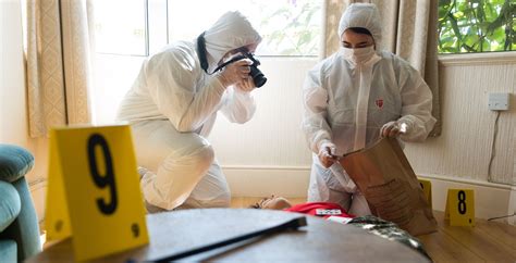 Bsc Hons Forensic Investigation University Of South Wales