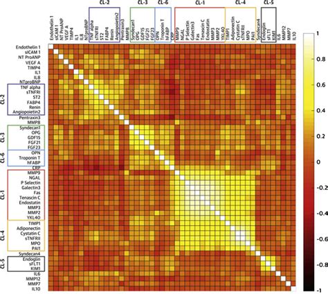 Correlations Between Biomarkers The Heatmap Represents The Correlation