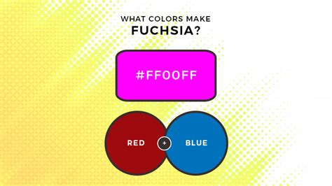 Fuchsia Color Fuchsia Pink Color Photo 29859191 Fanpop