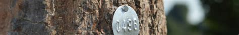Tree Tags Tree Marking Forestry Signage For Arborists Tree Workers