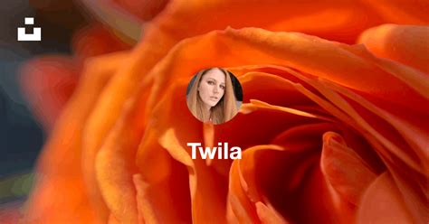 Twila Twila Singh Komunitas Foto Unsplash