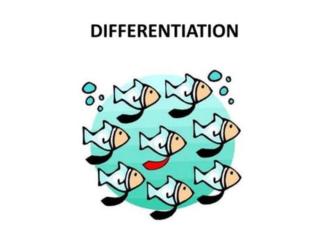Differentiation Ppt