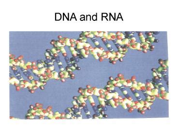 PPT DNA And RNA PowerPoint Presentation Free To Download Id A Bd Y FhN
