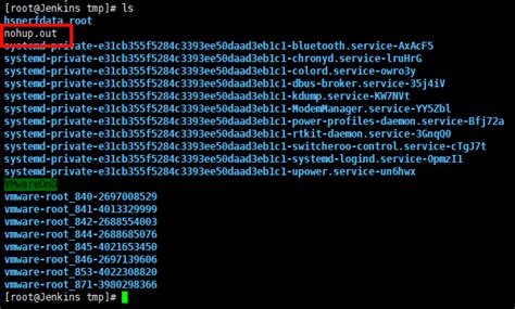 Linux 中 Nohup 实现后台运行指定命令并重定向命令输出到指定文件【对命令各部分逐步分解说明】nohup 重定向输出 Csdn博客