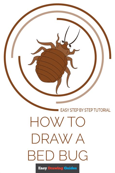 How To Draw A Bed Bug Really Easy Drawing Tutorial