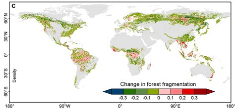 Analyze This Tropical Forests Have Gotten Patchier