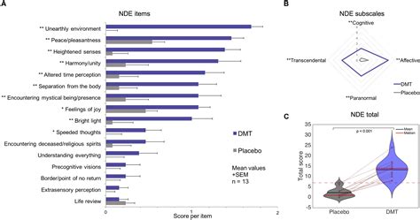 Frontiers Dmt Models The Near Death Experience