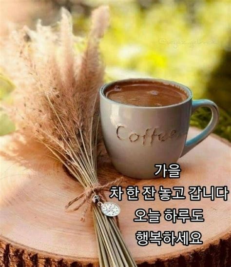 가을 차 한잔 두고 갑니다 뉴스트림