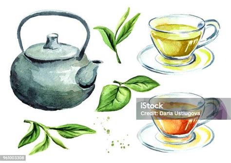 차 세트 냄비 컵 녹차와 잎 흰색 배경에 고립 수채화 손으로 그린 그림 차 뜨거운 음료에 대한 스톡 벡터 아트 및 기타 이미지