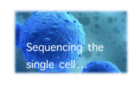 单细胞是什么?果壳中的宇宙 用单细胞技术拓展研究边界 知乎 单细胞是什么?果壳中的宇宙 用单细胞技术拓展研究边界 知乎