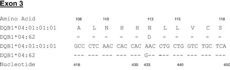 Nucleotide And Predicated Amino Acid Sequence Of Partial Exon 3 Of The Download Scientific