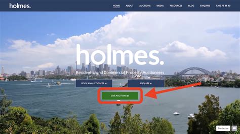 Squarespace 71 — Colour Animation Pulsing On A Button — Three Cats