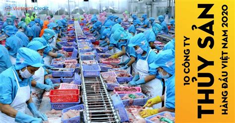 CÔNG TY THỦY SẢN HÀNG ĐẦU VIỆT NAM Báo cáo công ty
