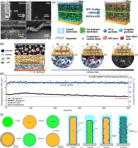 Cross Sectional Sem Of Si Anode On Flexible Composite Electrolyte And Download Scientific