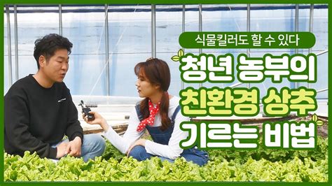 청년 농부가 알려주는 친환경 상추를 잘 키우는 비법 Youtube
