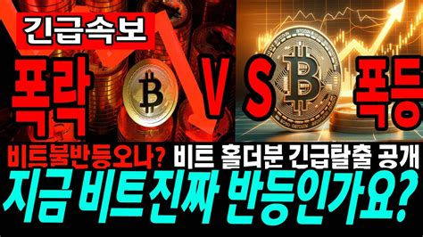 비트코인 전망 이거 찐반등인가 비트코인 장기보유자 수 역대치 Cdd 증가 폭등vs폭락 홀더분들 필수시청하세요 Youtube