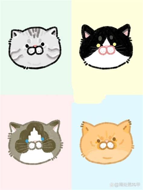 猫的头简笔画图片大全可爱怎么画（流行15张） 简笔画图片大全