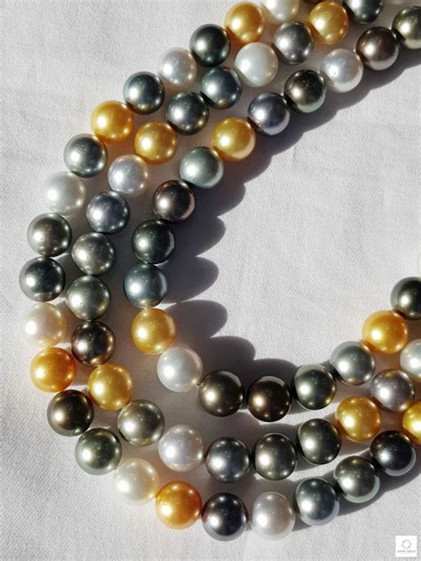 11~12mm남양진주 트리플멀티 비드목걸이aaa 남양진주골드진주타히티흑진주 네이버 블로그