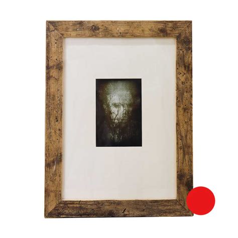 Memory Of A Tree Bont Huijs