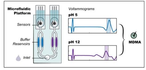 Photo Electrochemistry A Pecs University Of Antwerp