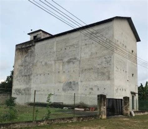 Edible Birds Nest Contains Swiftlet Acid And Epidermal Growth Factor Aid In Skin Repair